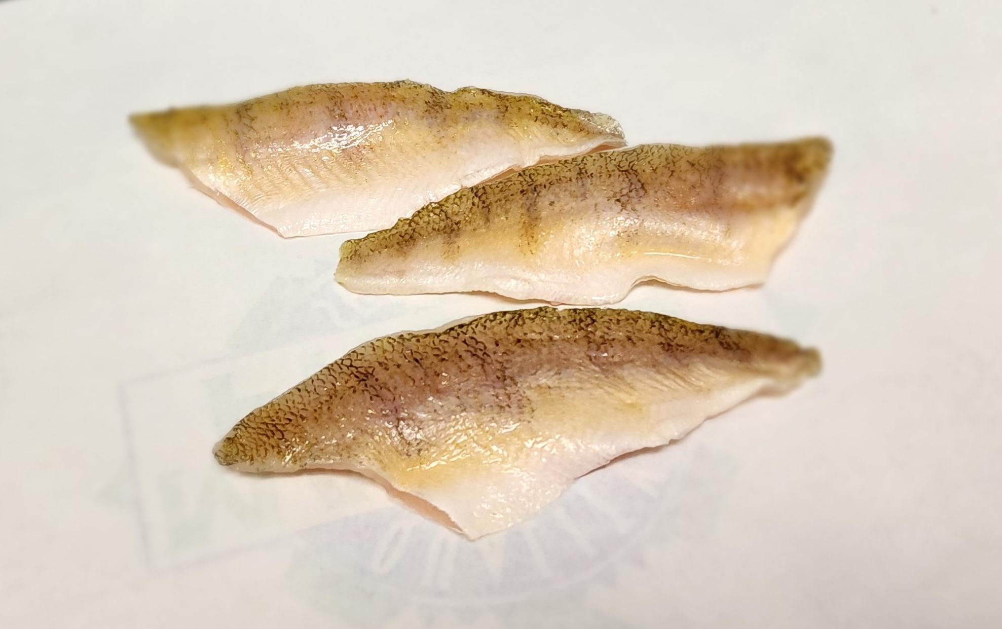 Yellow Lake Perch